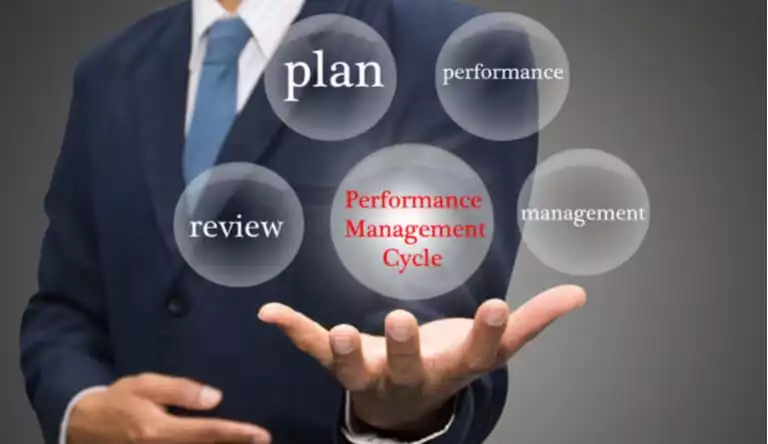 4 Stages of the Performance Management Cycle in HRM